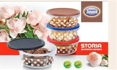 Plastic Multi Purpose Containers 250 Ml At ₹ 150 Piece In Hyderabad