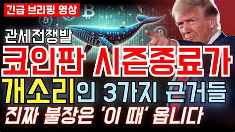 🔥 중요 관세전쟁발 코인판 시즌종료가 헛소리인 진짜 이유 진짜 불장은 이 때 시작됩니다 도지코인 리플코인 시바이누코인 비트코인 Youtube