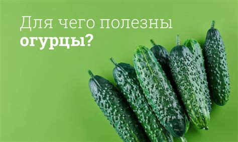 Арбуз польза и вред Советы и рекомендации