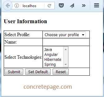 Angular Select Option Using Template Driven Form