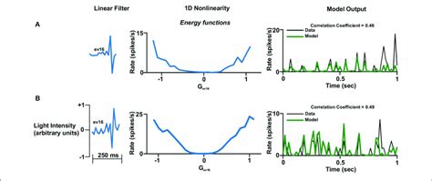 one dimensional linear non linear model a b one dimensional