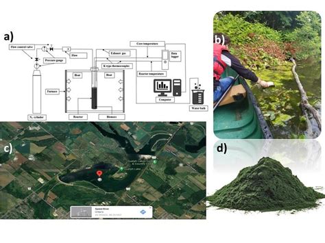 Schematics Of The Lab Scale Experimental Set Up Of The Slow Pyrolysis Download Scientific