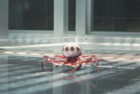 The Alien Earth Terror We Cant Unsee