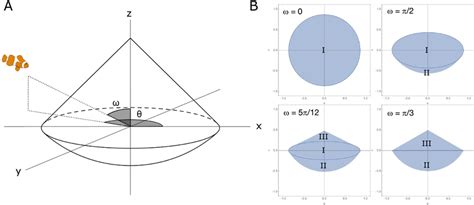 Perspective Of A Conic Detection Zone A Showing The Angles ω And θ Download Scientific