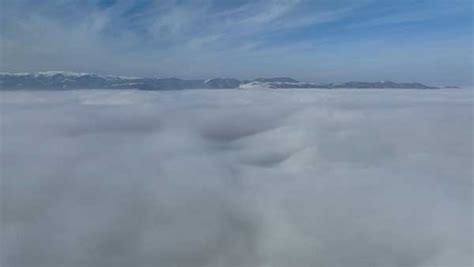 ბუნება ზამთრის ტყე ღრუბლები Stockfootage