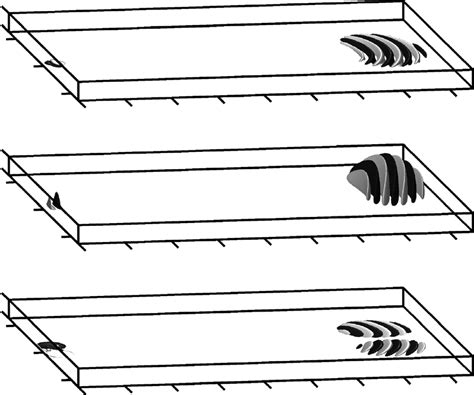 Optimal Localized Initial Condition And Corresponding Response At Time Download Scientific
