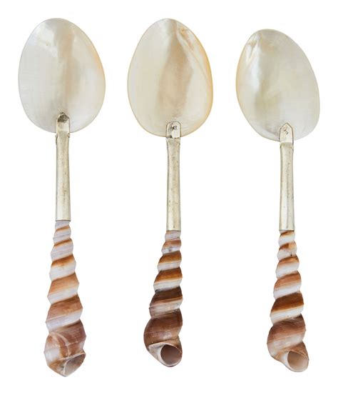 Shell Spoons And Jayson Home Shell Spoons And Jayson Home