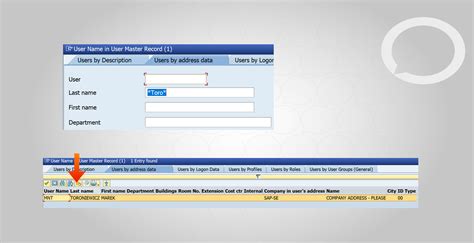 Where To Find The Sap Number Hicron