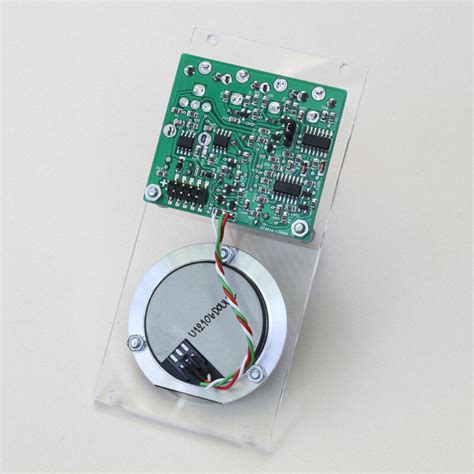 Sea Gout Patch Point