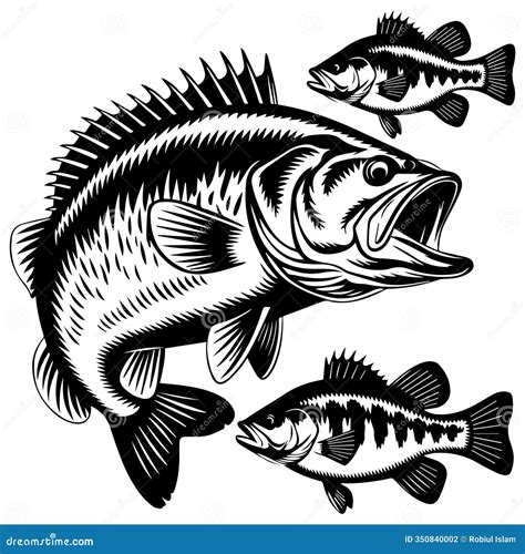 Silhouette Bass Fish Vector Design Stock Illustration Illustration