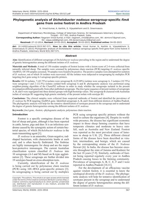 Pdf Phylogenetic Analysis Of Dichelobacter Nodosus Serogroup Specific Fima Gene From Ovine