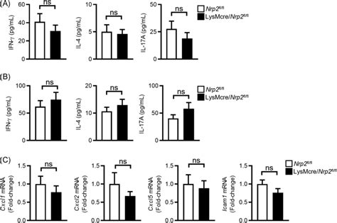 Myeloid‐specific Ablation Of Nrp2 Does Not Affect T Helper Cell