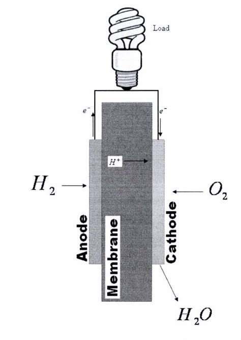 Figure 1 1 From Development Of Catalyst And Gas Diffusion Layers Using
