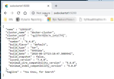 C Serilog Elasticsearch Sink Connection Issues Net Core Stack