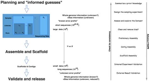 Difference Between Contig And Scaffold
