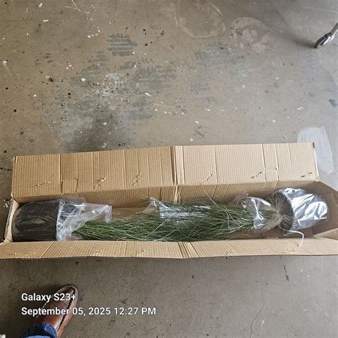 staking your new tree if necessary comprehensive staking guide