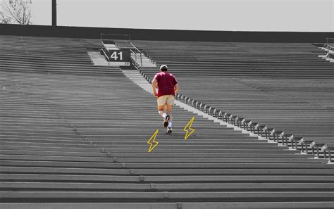 Different Types Of Workouts Why Variety Is Important For Your Health
