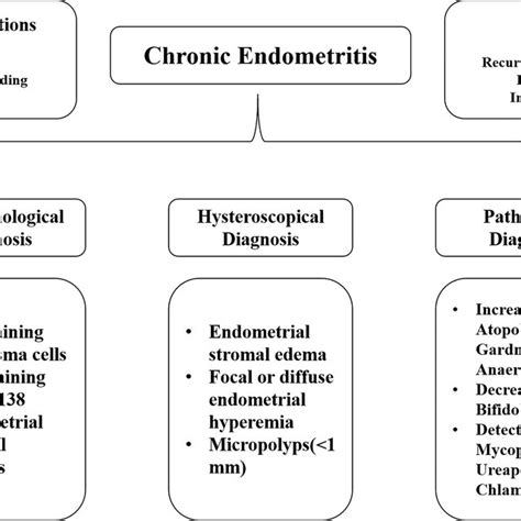 Diagnostic Algorithm For Chronic Endometritis Download Scientific Diagram