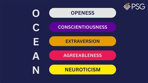 Ocean Personality Model Big Five Traits For Leaders