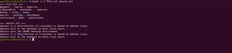 Head Command In Linux DataFlair