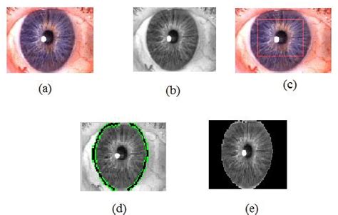 Process Of Iris Segmentation A Original Image B Converted Gray Download Scientific Diagram