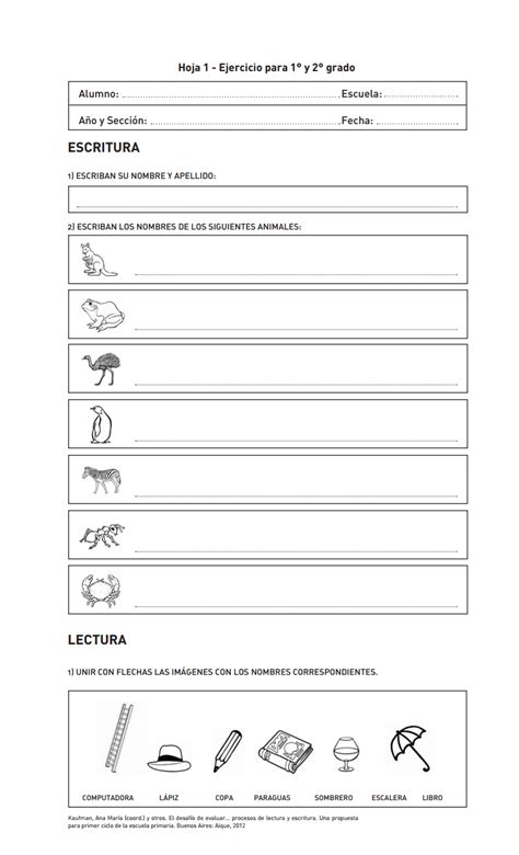 Evaluar La Lectura Y La Escritura En Primer Ciclo Educación Primaria