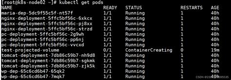 k8s相关知识 彻底删除pod csdn博客