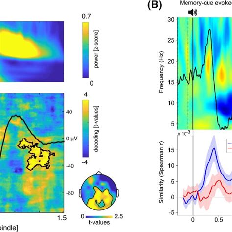 electrophysiological evidence for memory reactivation in human sleep