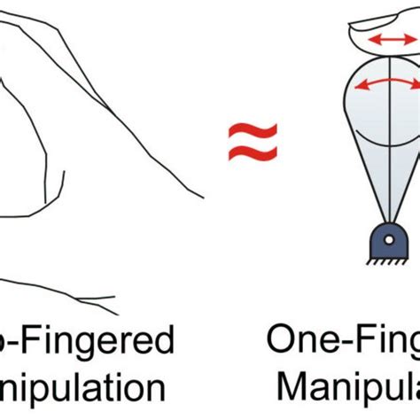 Use Of Contact Location During Object Exploration A One Fingered Download Scientific Diagram