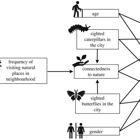 Conceptual Framework Of Hypothetical Relationships Between Potential