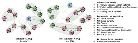 A Network Comparison Of Motives Behind Online Sexual Activities And Problematic Pornography Use