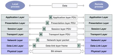 Telecomms Principles The OSI Reference Model