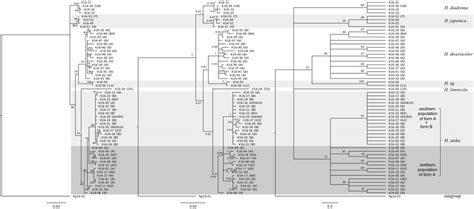 Maximum Likelihood Left Bayesian Inference Middle And Maximum Download Scientific Diagram