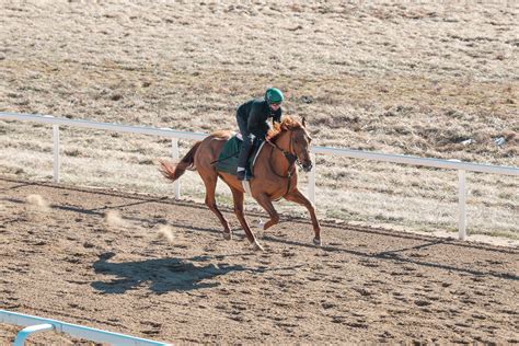 Sweet Rebecca Profile — Resolute Racing