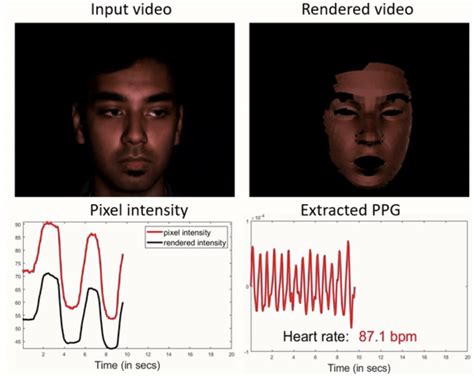 robustppg camera based robust heart rate estimation using motion