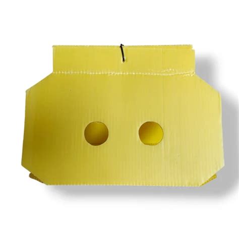 Insect Trap Manufacturer Supplier And Wholesaler Insect Trap India