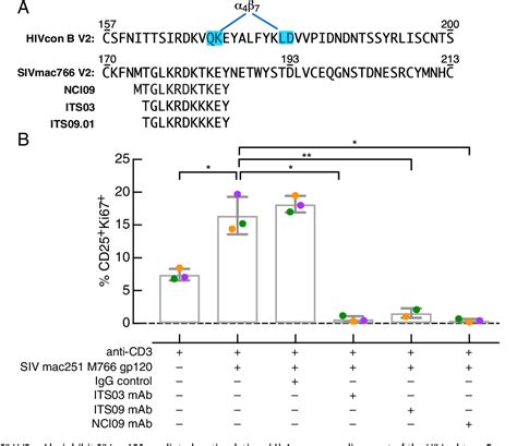 figure 3 from the v2 loop of hiv gp120 delivers costimulatory signals