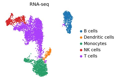 【top生物信息】基于scanpy的单细胞数据质控、聚类、标注 scanpy 聚类 csdn博客