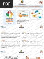 Guía Técnica Para La Higiene De Manos Pdf Lavado De Manos Higiene