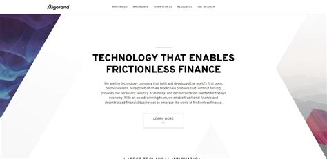 algorand algo price prediction 2023 2024 future algo price coin