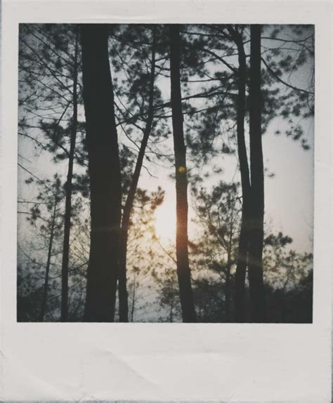 Sunset Polaroid Photography Poloroid Pictures Polaroid Pictures