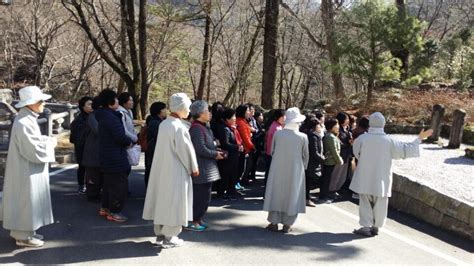 전남 순천 홍선사 신도회 일일체험36 템플스테이 갤러리