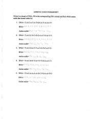 Understanding The Genetic Code DNA To RNA Strand Conversion And Course Hero