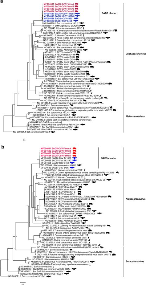 Bayesian Phylogenetic Tree Of The Full Length Genome And The Orf1a And