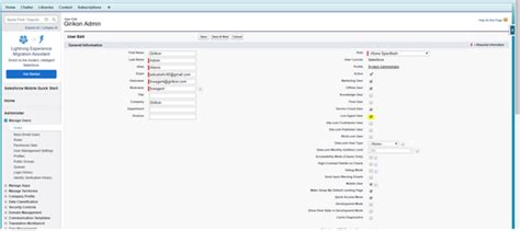 How To Implement Salesforce Live Chat Box