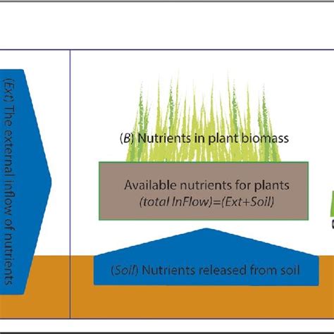 Conceptual Model Of Nutrient Flows In The Floodplains Ecosystem The