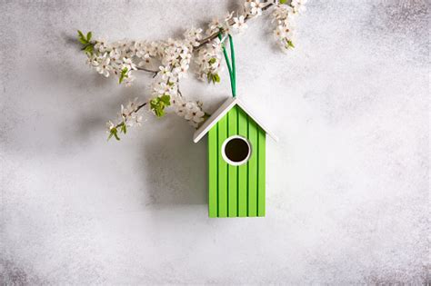 봄 배경입니다 벚꽃 꽃과 콘크리트 배경에 작은 녹색 새집 맨 위 보기 공간을 복사합니다 0명에 대한 스톡 사진 및 기타 이미지 Istock