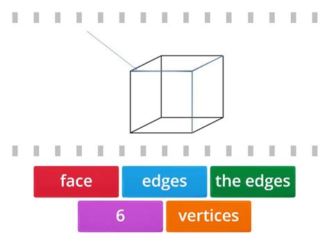Euler`s Formula For 3d Shapes Find The Match