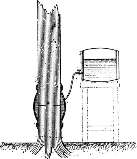 53 Tree Injection Stock Illustrations Depositphotos