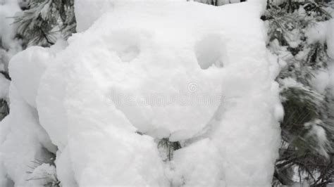 Snow Face On A Tree Snow Emoticon Smile Stock Video Video Of Tree